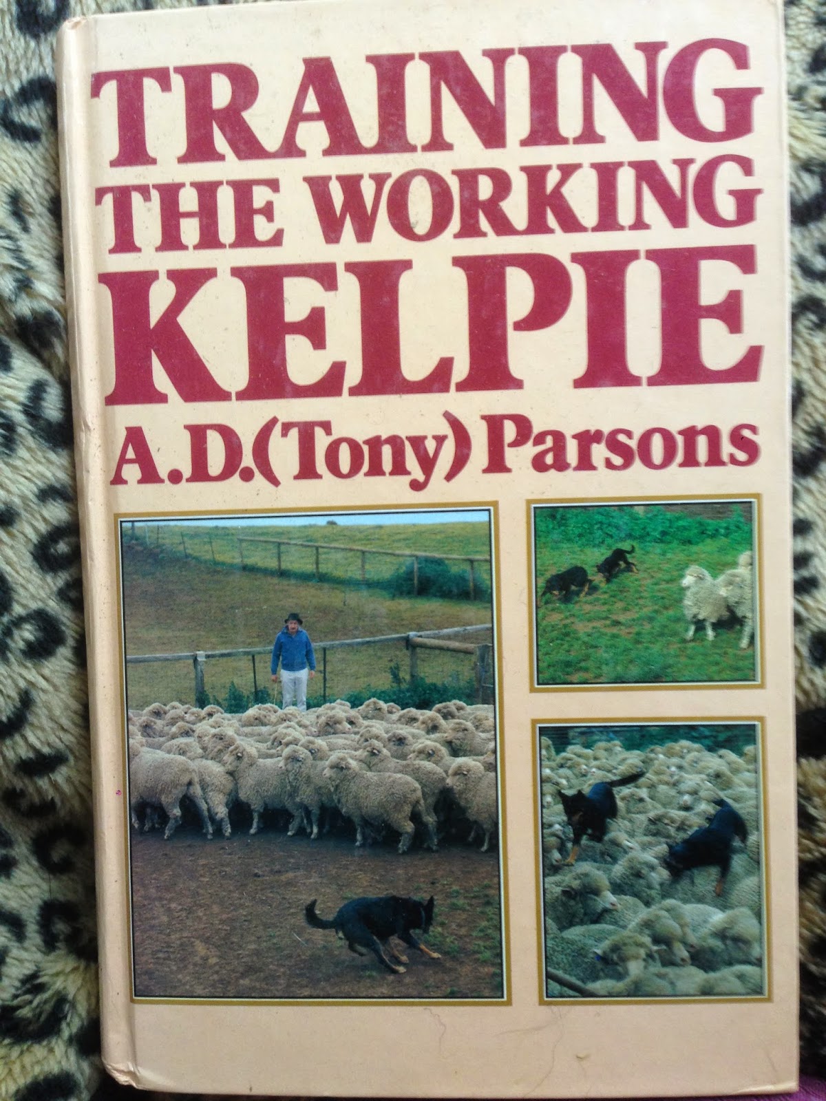 DeltaBluez Stockdogs: Kelpie Books for sale - SOLD